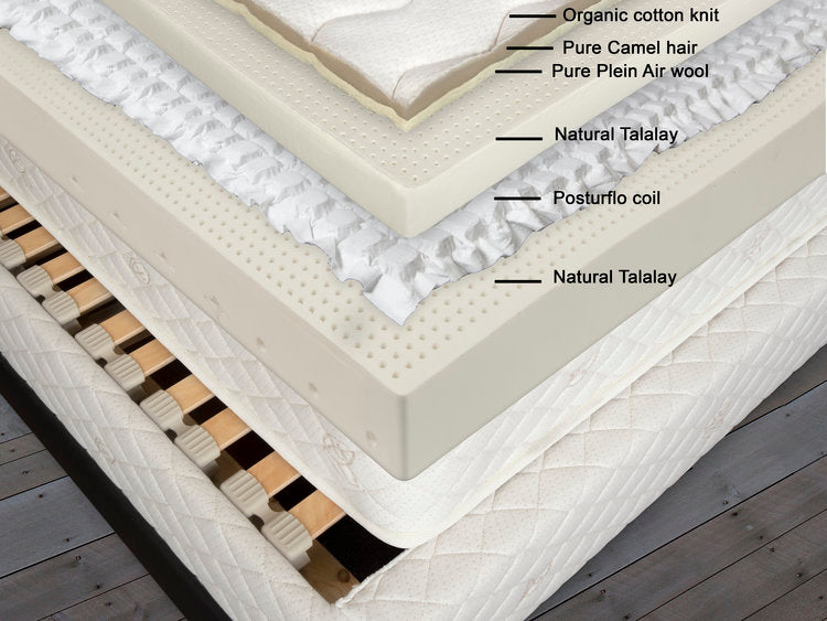 Latex talalay store